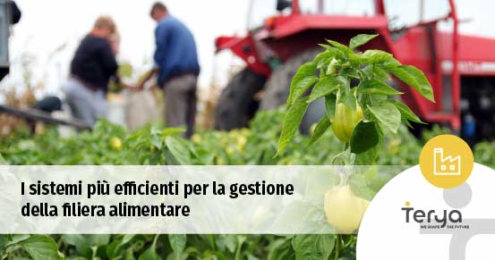 I sistemi più efficienti per la gestione della filiera alimentare